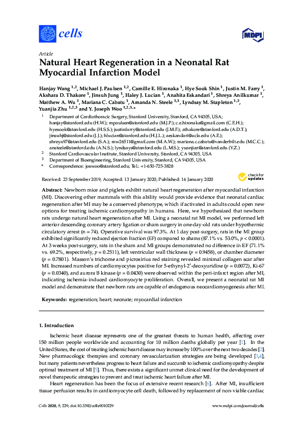 (PDF) Natural Heart Regeneration in a Neonatal Rat Myocardial ...