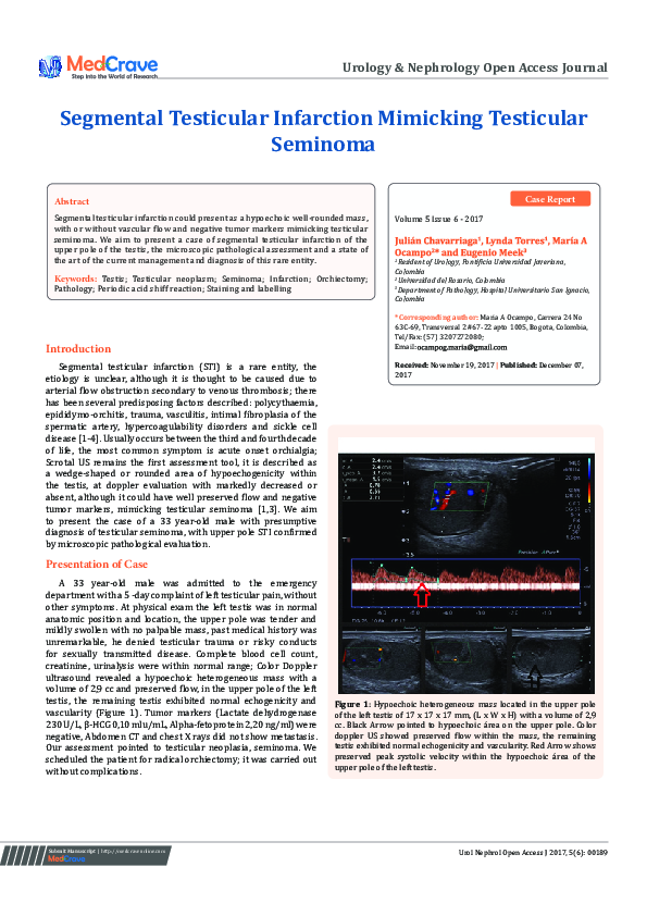 Pdf Segmental Testicular Infarction Mimicking Testicular Seminoma