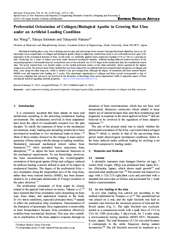 (PDF) Preferential Orientation of Collagen/Biological Apatite in ...