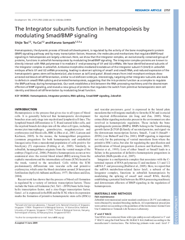 (PDF) The Integrator subunits function in hematopoiesis by modulating ...