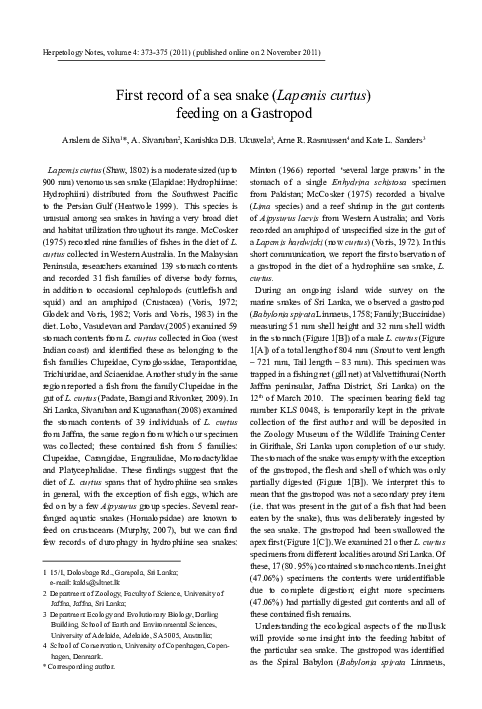 (PDF) First record of a sea snake (Lapemis curtus) feeding on a Gastropod