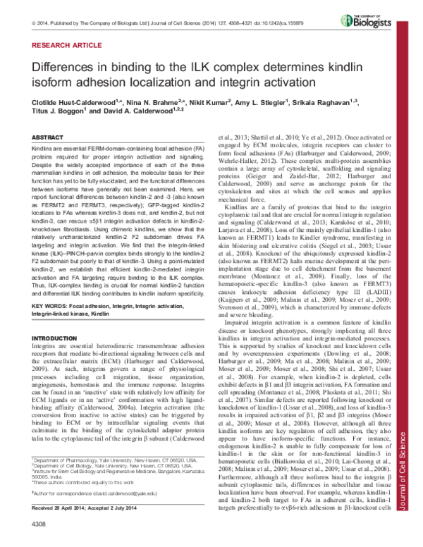 Pdf Differences In Binding To The Ilk Complex Determines Kindlin Isoform Adhesion Localization