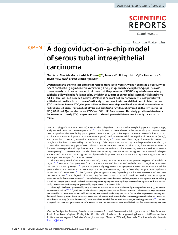 (PDF) A dog oviduct-on-a-chip model of serous tubal intraepithelial ...