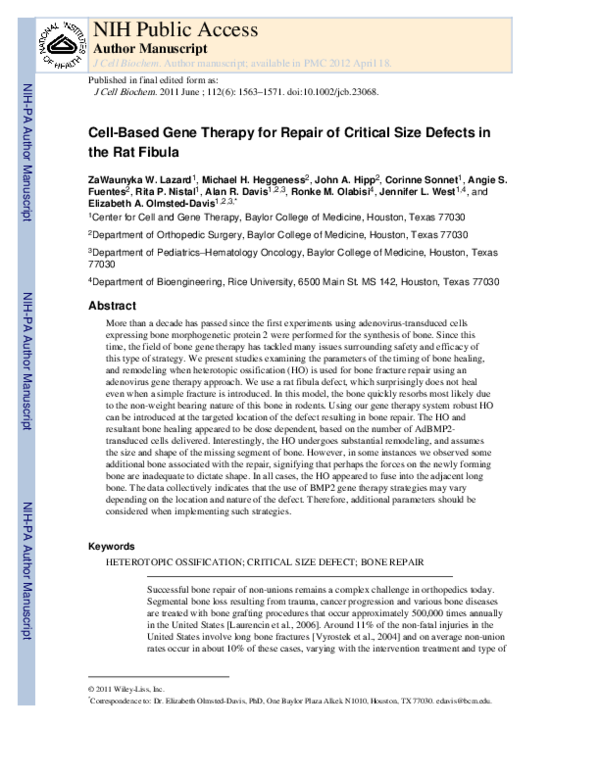 (PDF) Cell based gene therapy for repair of critical size defects in ...