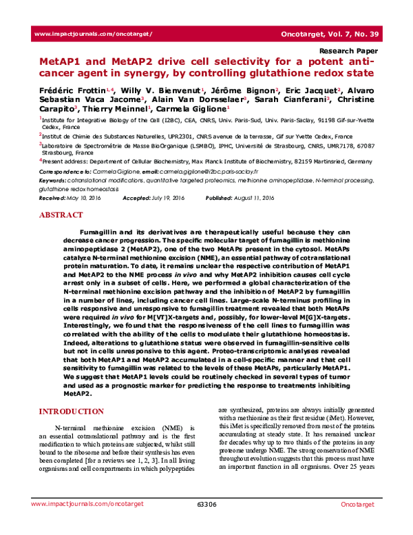 (PDF) MetAP1 and MetAP2 drive cell selectivity for a potent anti-cancer ...