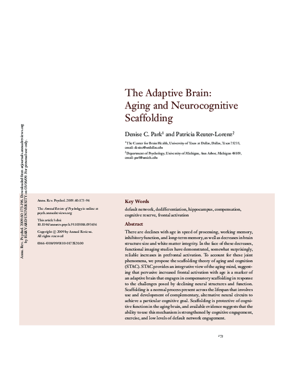 (PDF) The Adaptive Brain: Aging and Neurocognitive Scaffolding