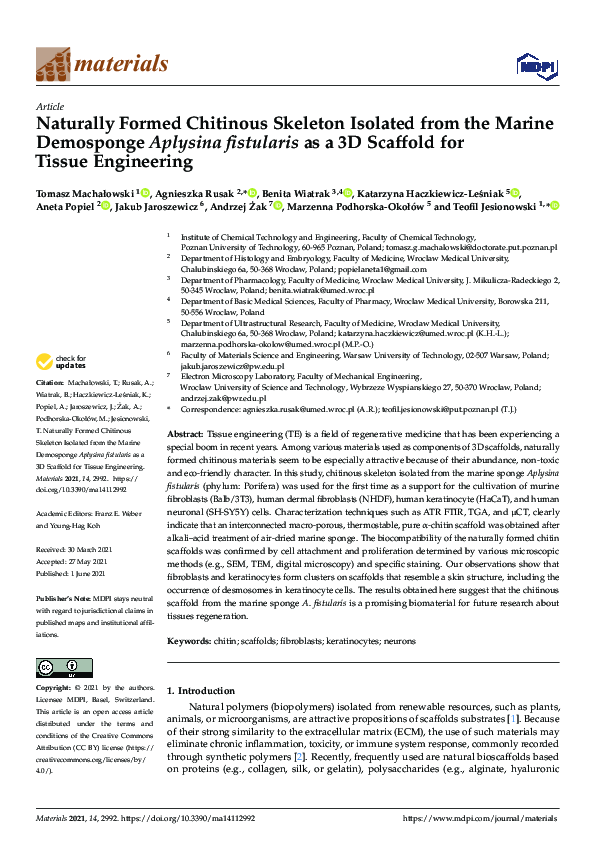 (PDF) Naturally Formed Chitinous Skeleton Isolated from the Marine ...