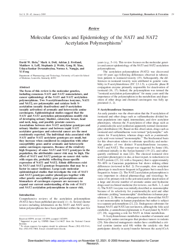 (PDF) Molecular genetics and epidemiology of the NAT1 and NAT2 ...
