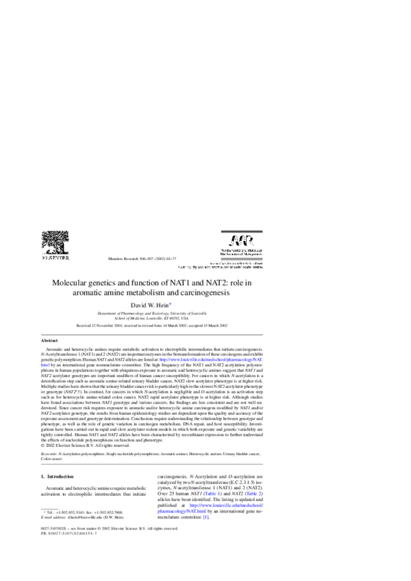 (PDF) Molecular genetics and function of NAT1 and NAT2: role in ...