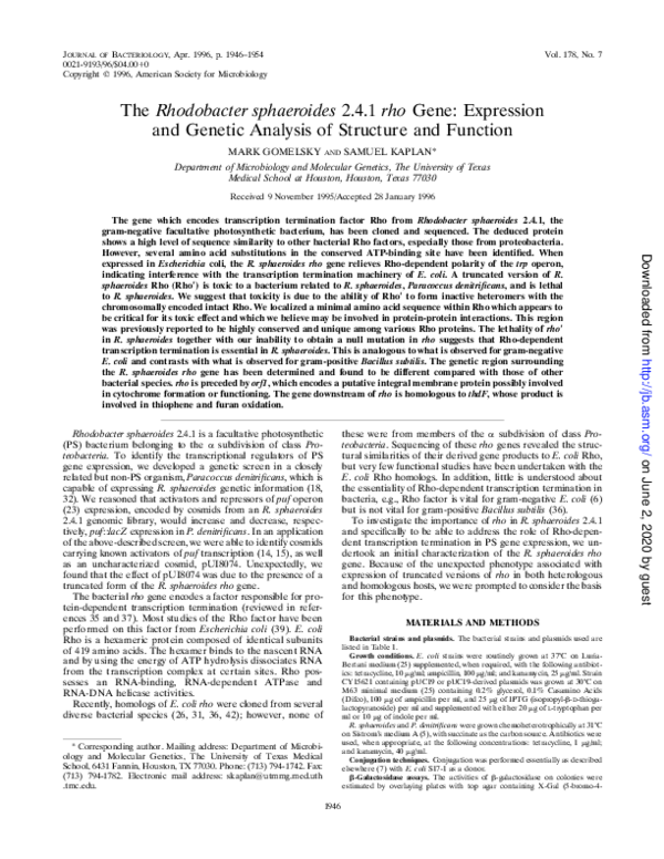 (PDF) The Rhodobacter sphaeroides 2.4.1 rho gene: expression and ...