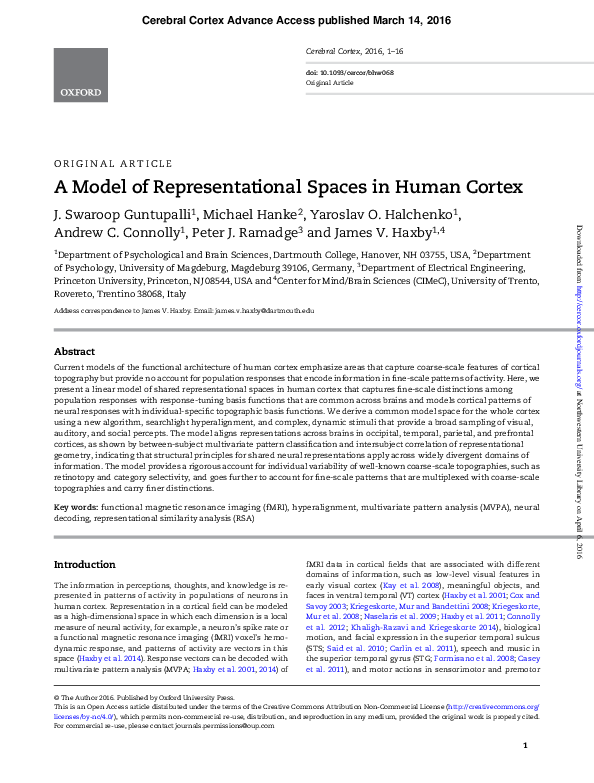 Pdf A Model Of Representational Spaces In Human Cortex