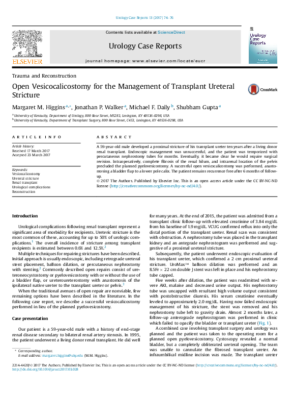 (PDF) Open Vesicocalicostomy for Ureteral Stricture