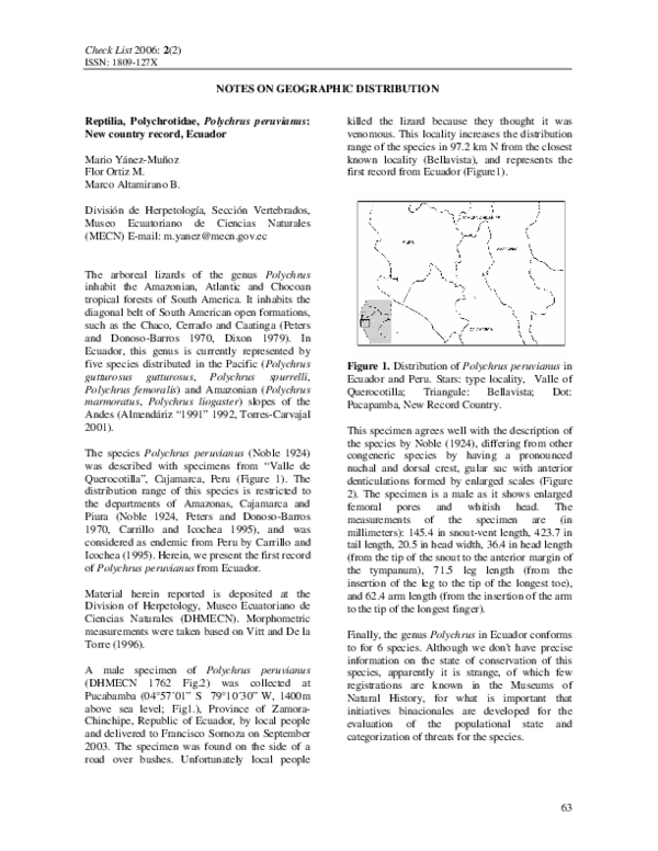 (PDF) Reptilia, Polychrotidae, Polychrus peruvianus : New country ...