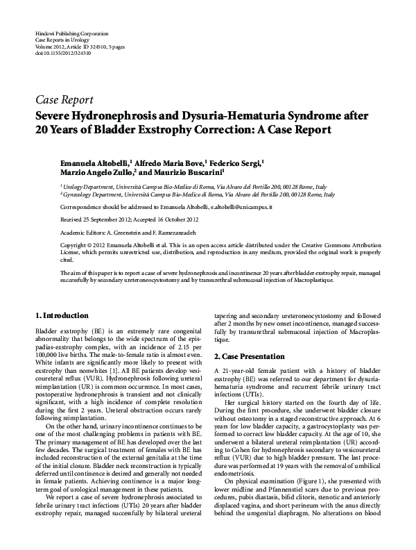 (PDF) Severe Hydronephrosis and Dysuria-Hematuria Syndrome after 20 ...