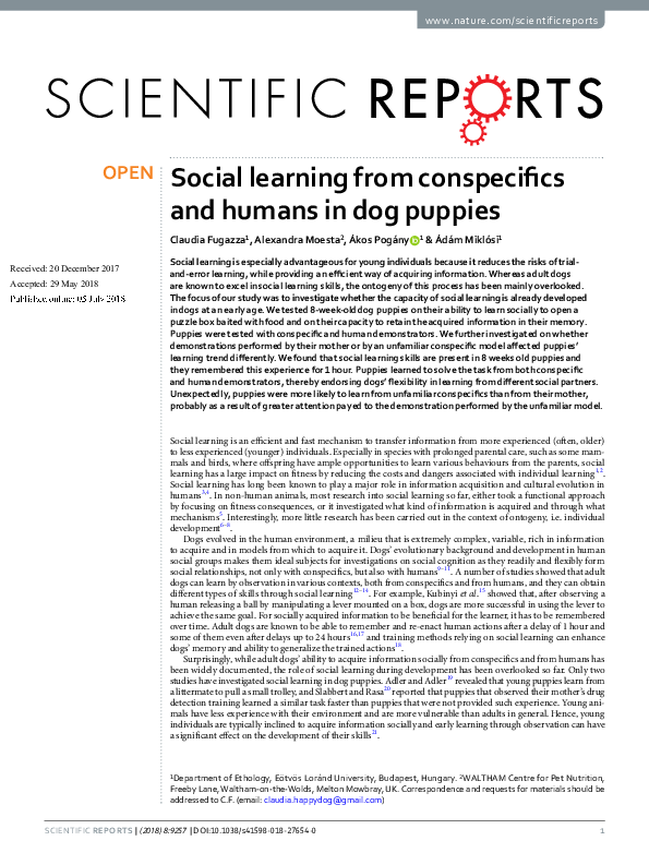 (PDF) Social learning from conspecifics and humans in dog puppies