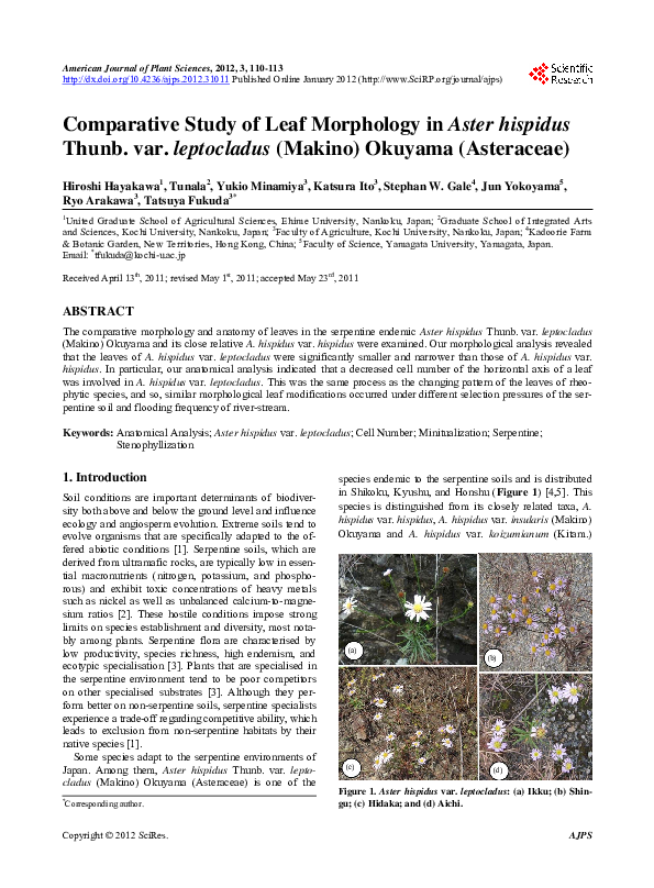 (PDF) Comparative Study of Leaf Morphology in Aster hispidus Thunb. var ...