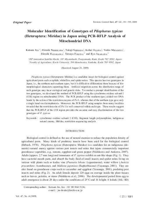 (PDF) Molecular Identification of Genotypes of Pilophorus typicus ...