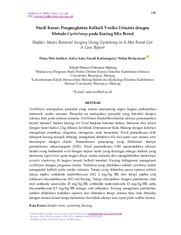 (PDF) Bladder Stones Removal Surgery Using Cystotomy in a Mix Breed Cat ...