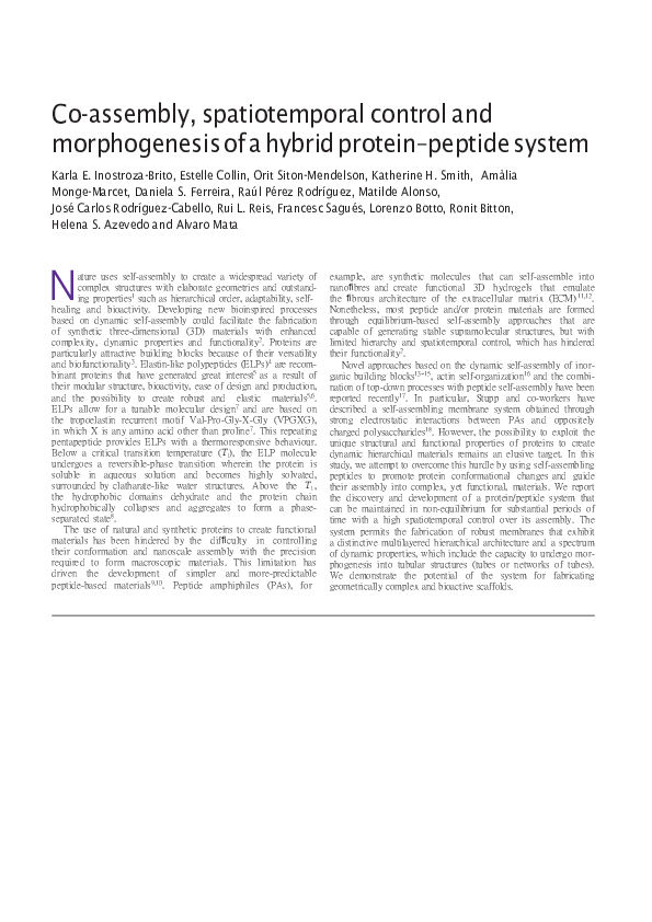 (PDF) Co-assembly, spatiotemporal control and morphogenesis of a hybrid protein–peptide system