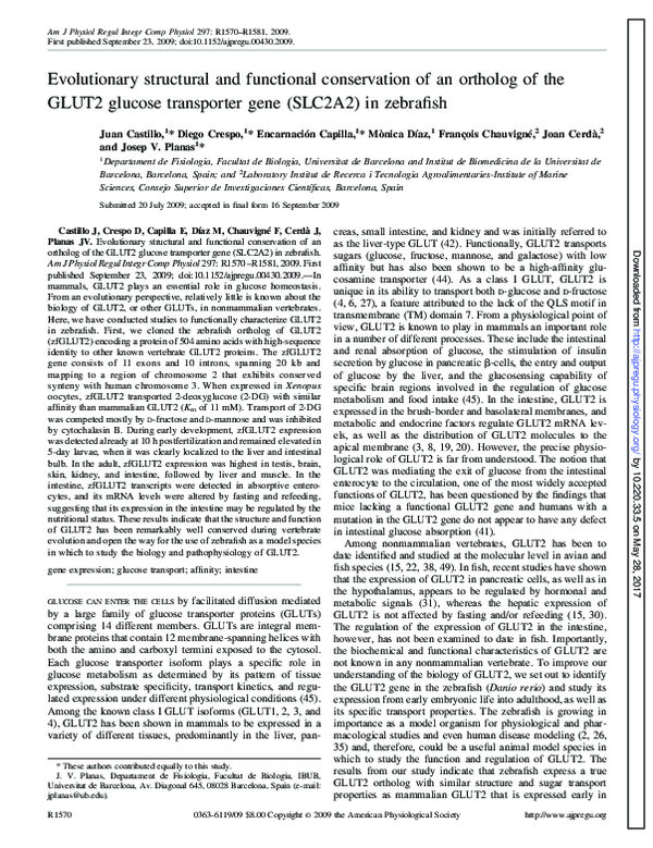 (PDF) Evolutionary structural and functional conservation of an ...