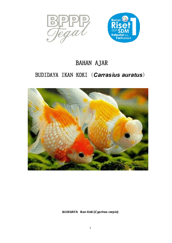 (PDF) Bahan Ajar Ikan koki
