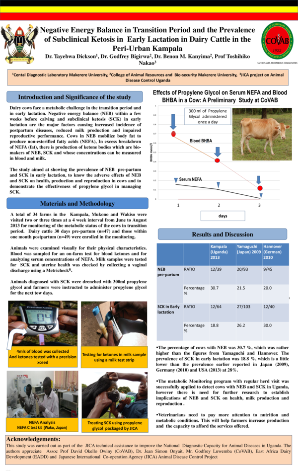 (PDF) Negative Energy Balance in Transition Period and the Prevalence of Subclinical Ketosis in ...