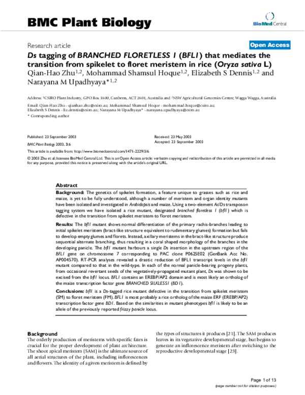 (PDF) Ds Tagging of BRANCHED FLORETLESS 1(BFL 1) That Mediates the ...