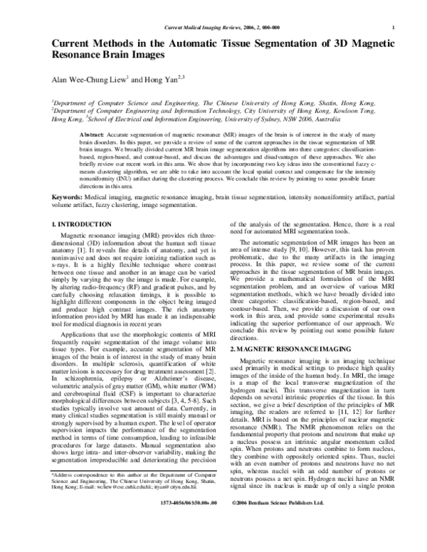 (PDF) Current methods in the automatic tissue segmentation of 3D magnetic resonance brain images