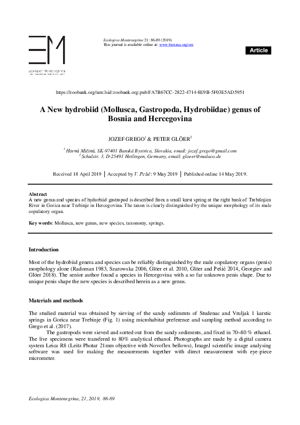 (PDF) A New Hydrobiid (Mollusca, Gastropoda, Hydrobiidae) Genus of Bosnia and Hercegovina