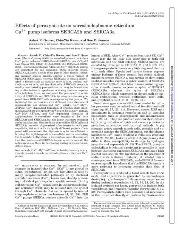 (PDF) Effects of peroxynitrite on sarco/endoplasmic reticulum Ca2+ pump ...