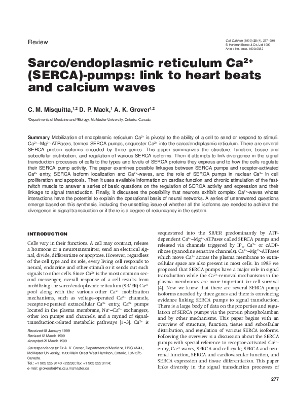(PDF) Sarco/endoplasmic reticulum Ca2+(SERCA)-pumps: link to heart ...