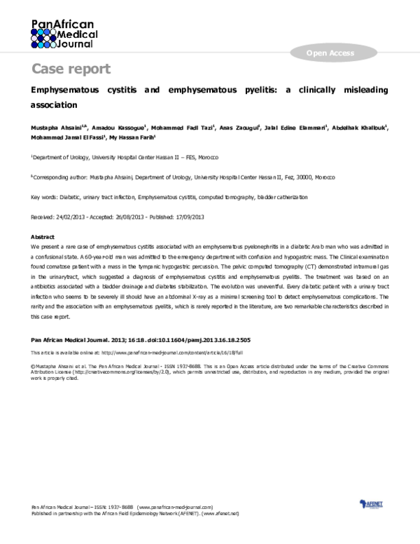(PDF) Emphysematous cystitis and emphysematous pyelitis: a clinically ...