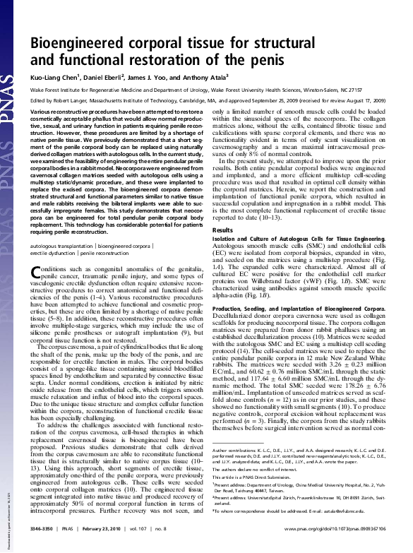 (PDF) Regenerative Medicine Special Feature: Bioengineered corporal ...