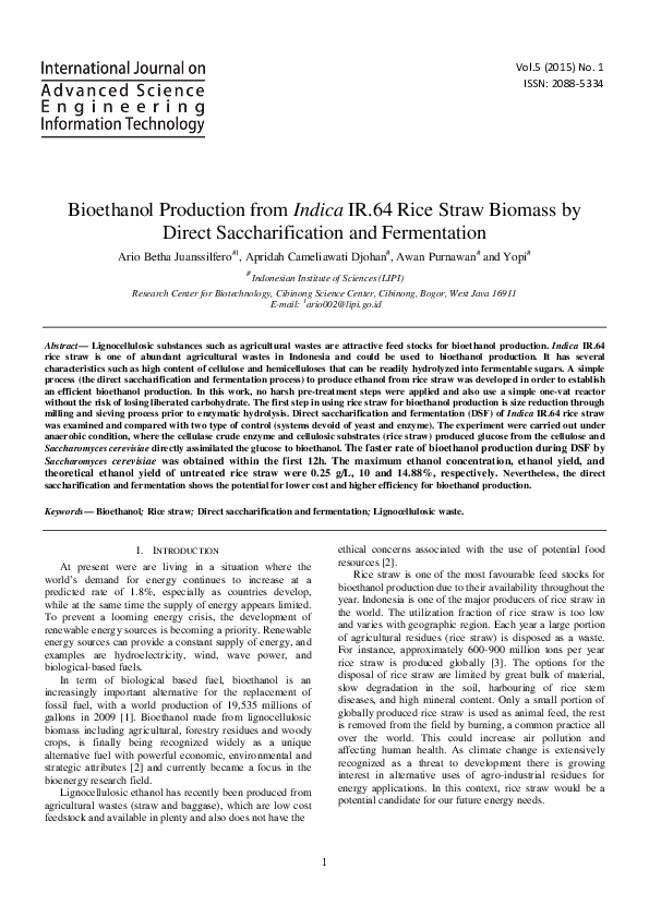 (PDF) Bioethanol Production from Indica IR.64 Rice Straw Biomass by ...