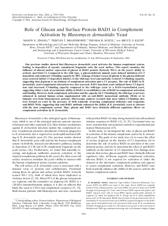 (PDF) Role of glucan and surface protein BAD1 in complement activation ...