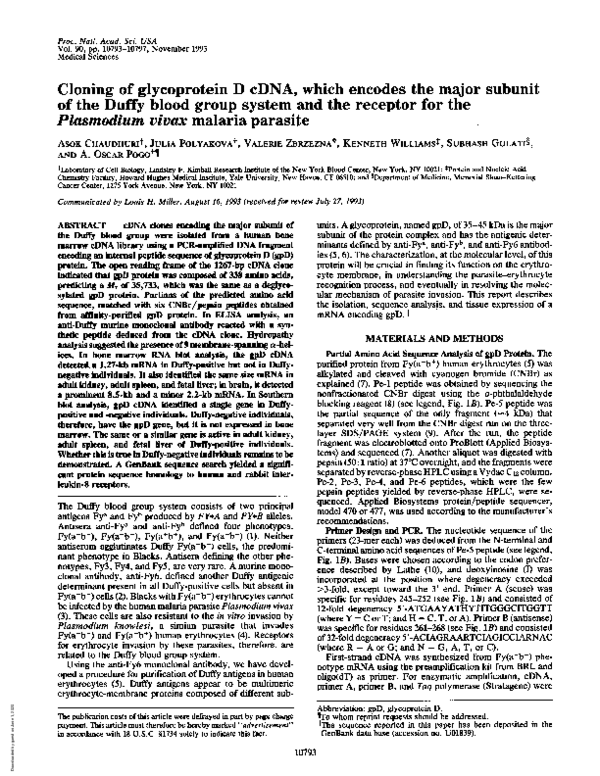 (PDF) Cloning of glycoprotein D cDNA, which encodes the major subunit ...