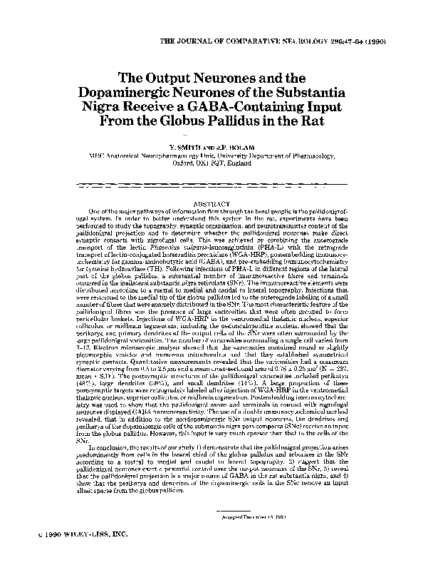 (PDF) The output neurones and the dopaminergic neurones of the ...