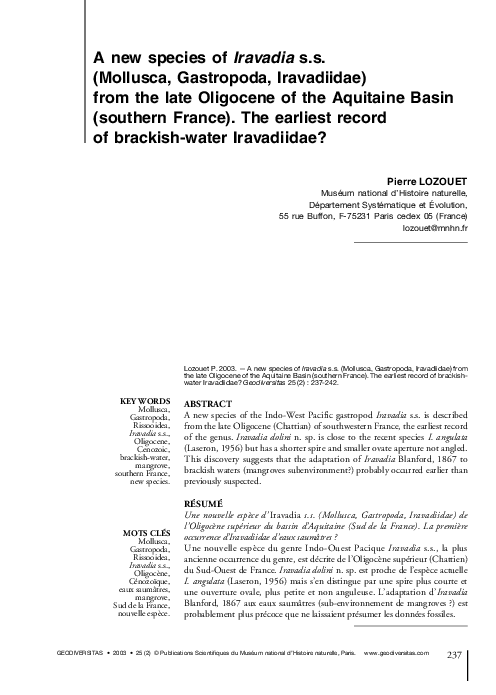 (PDF) A new species of Iravadia s.s. (Mollusca, Gastropoda, Iravadiidae ...