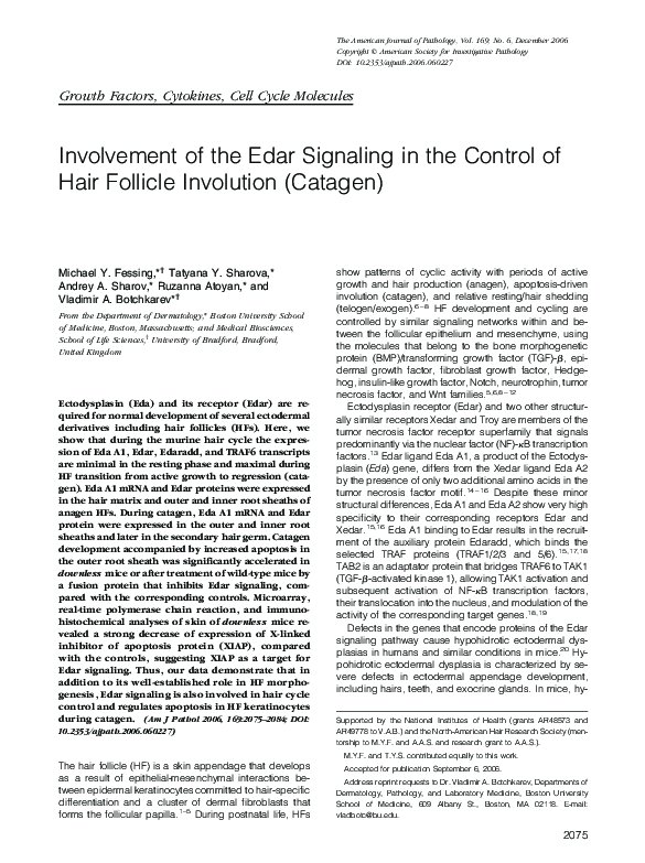 (PDF) Involvement of the Edar Signaling in the Control of Hair Follicle ...