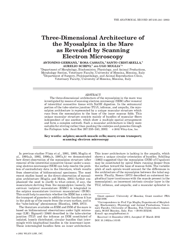 (PDF) Three-dimensional architecture of the myosalpinx in the mare as ...