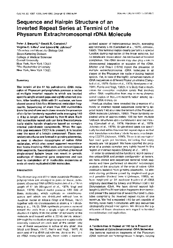 (PDF) Inverted Repeats and Hairpin Structures in rDNA