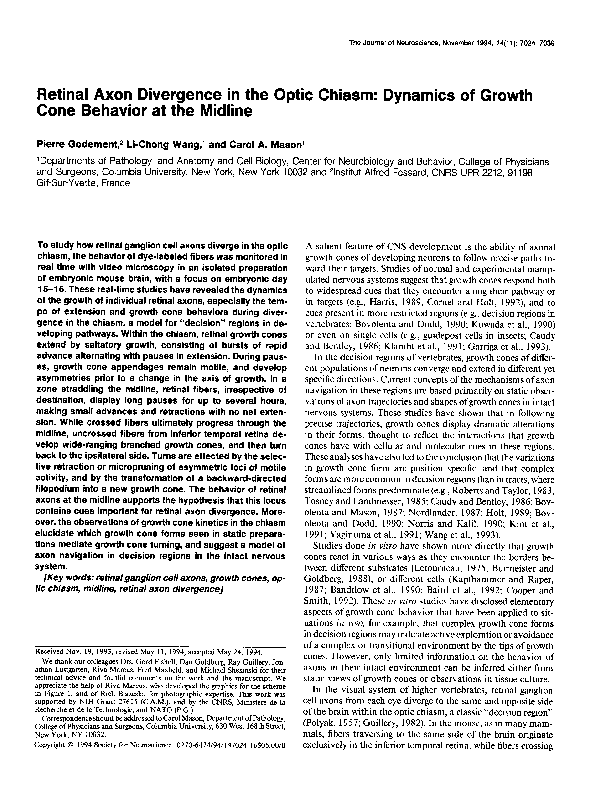 (PDF) Retinal axon divergence in the optic chiasm: dynamics of growth cone behavior at the midline