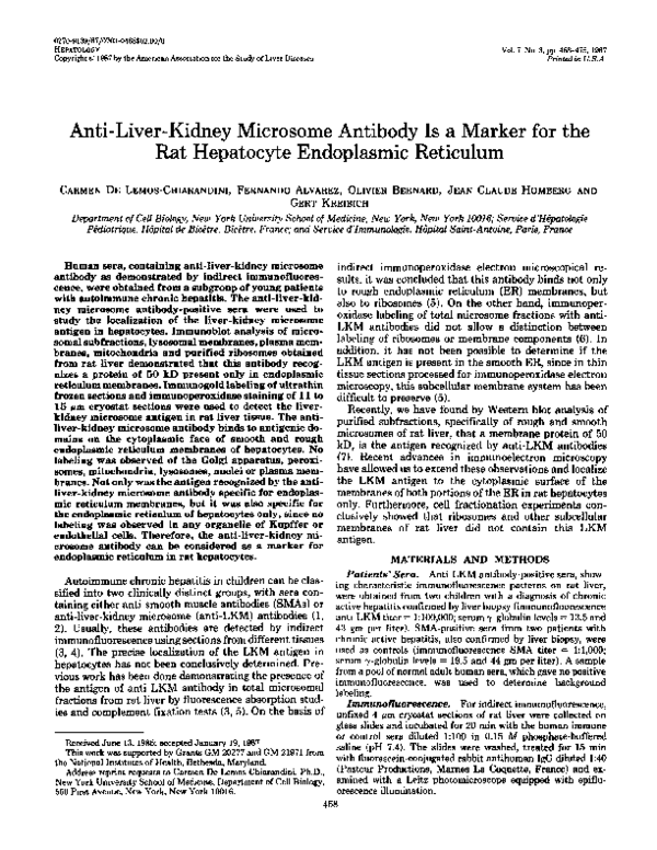 (PDF) Anti-liver-kidney microsome antibody is a marker for the rat ...