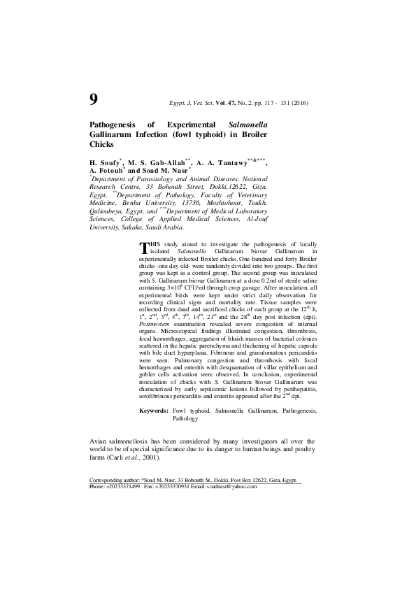 (PDF) Pathogenesis of Experimental Salmonella Gallinarum Infection ...