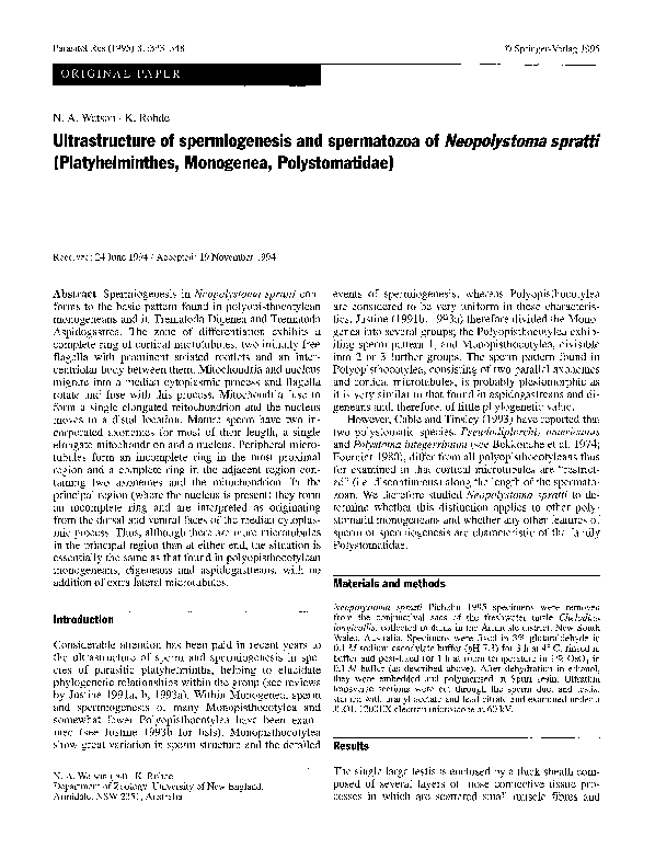 (PDF) Ultrastructure of spermiogenesis and spermatozoa of Decadidymus ...