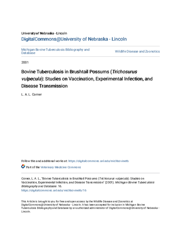 (PDF) Bovine tuberculosis in brushtail possums (Trichosurus vulpecula ...