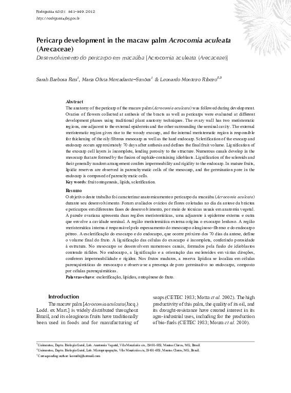(PDF) Pericarp development in the macaw palm Acrocomia aculeata (Arecaceae)