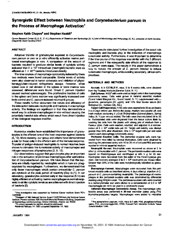 (PDF) Synergistic effect between neutrophils and Corynebacterium parvum ...