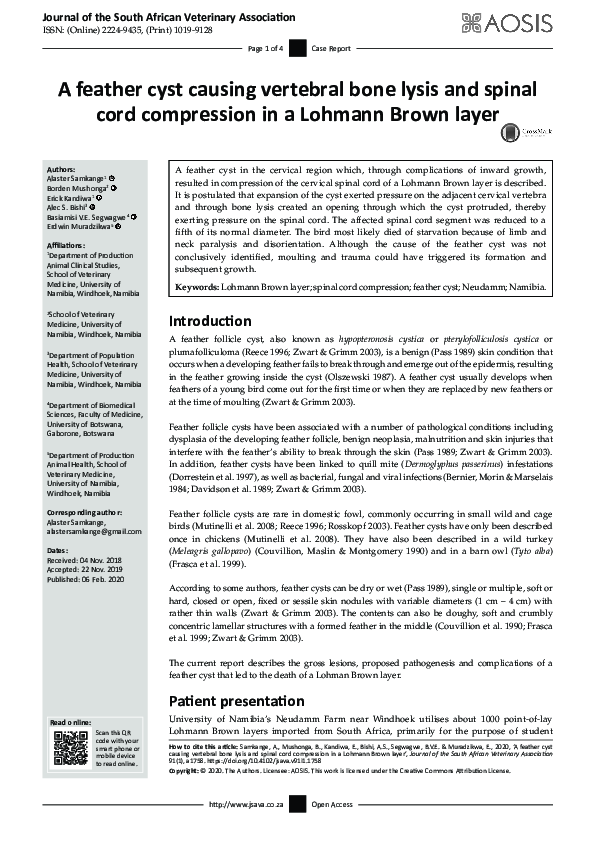 (PDF) A feather cyst causing vertebral bone lysis and spinal cord ...