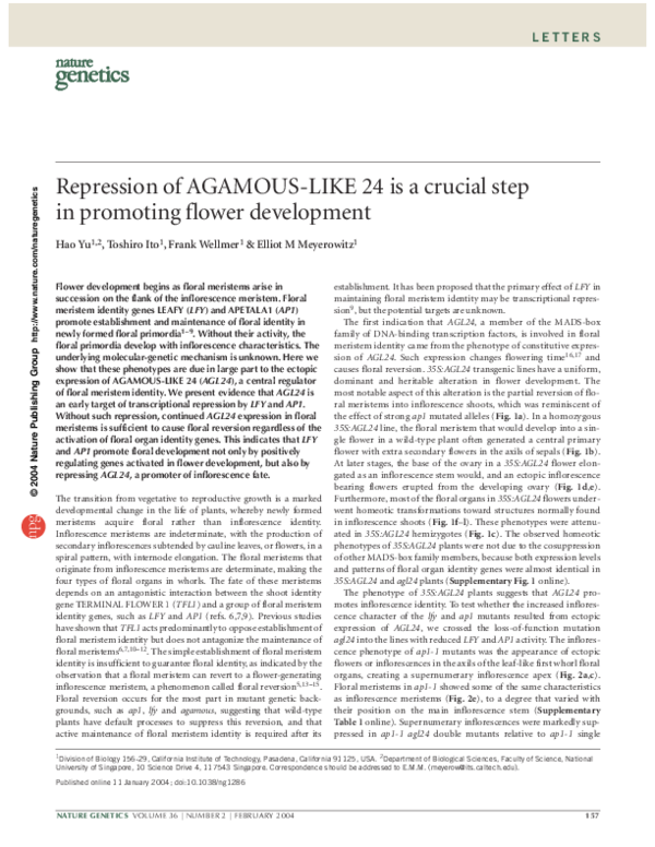 (PDF) Repression of AGAMOUS-LIKE 24 is a crucial step in promoting ...